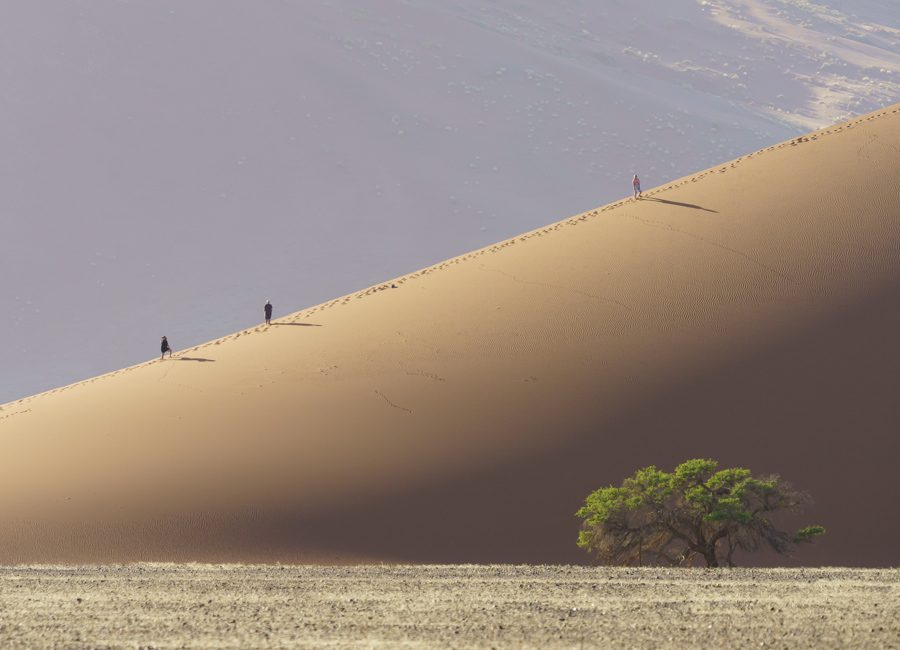 All the colours of Namibia | Nurture Africa Safari